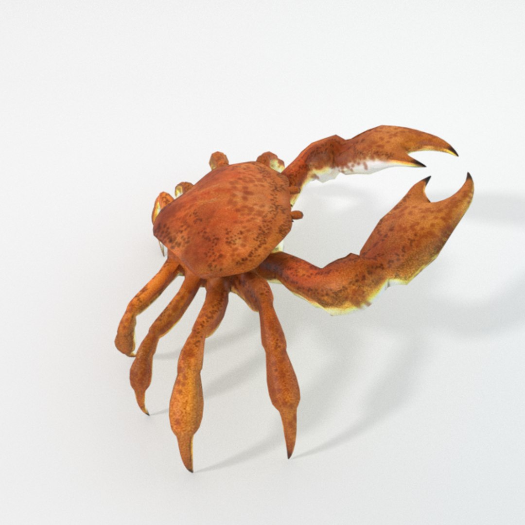 3D Crab Model - TurboSquid 1318847