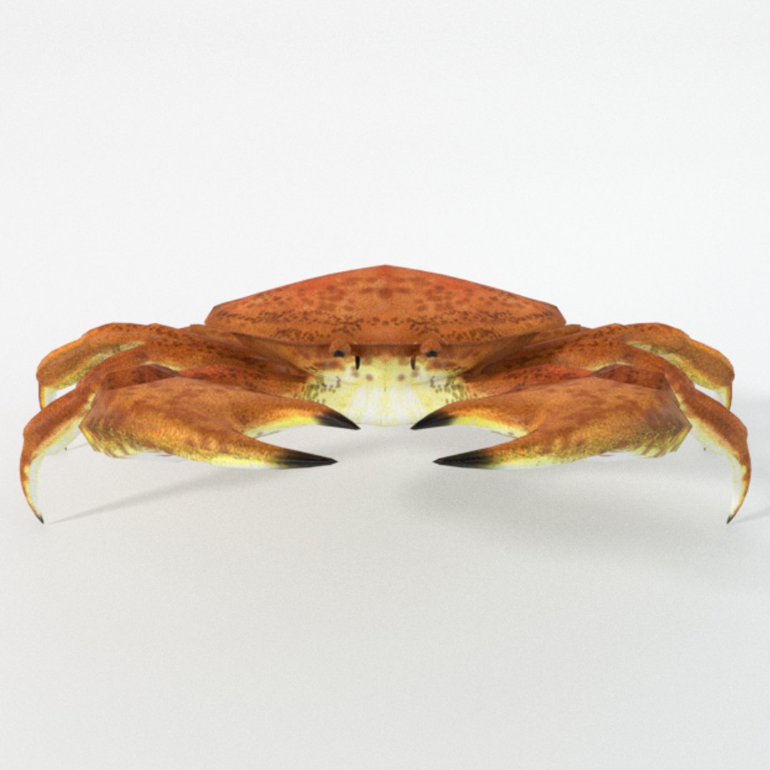3D Crab Model - TurboSquid 1318847