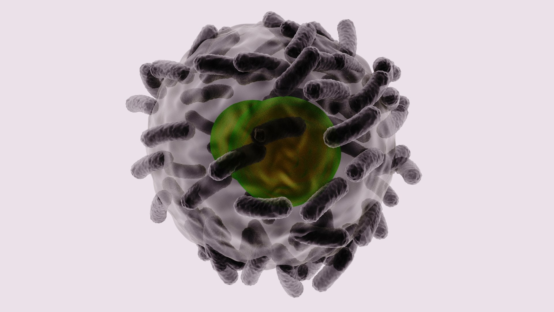 3D Monkeypox Virus smallpox model - TurboSquid 1900062