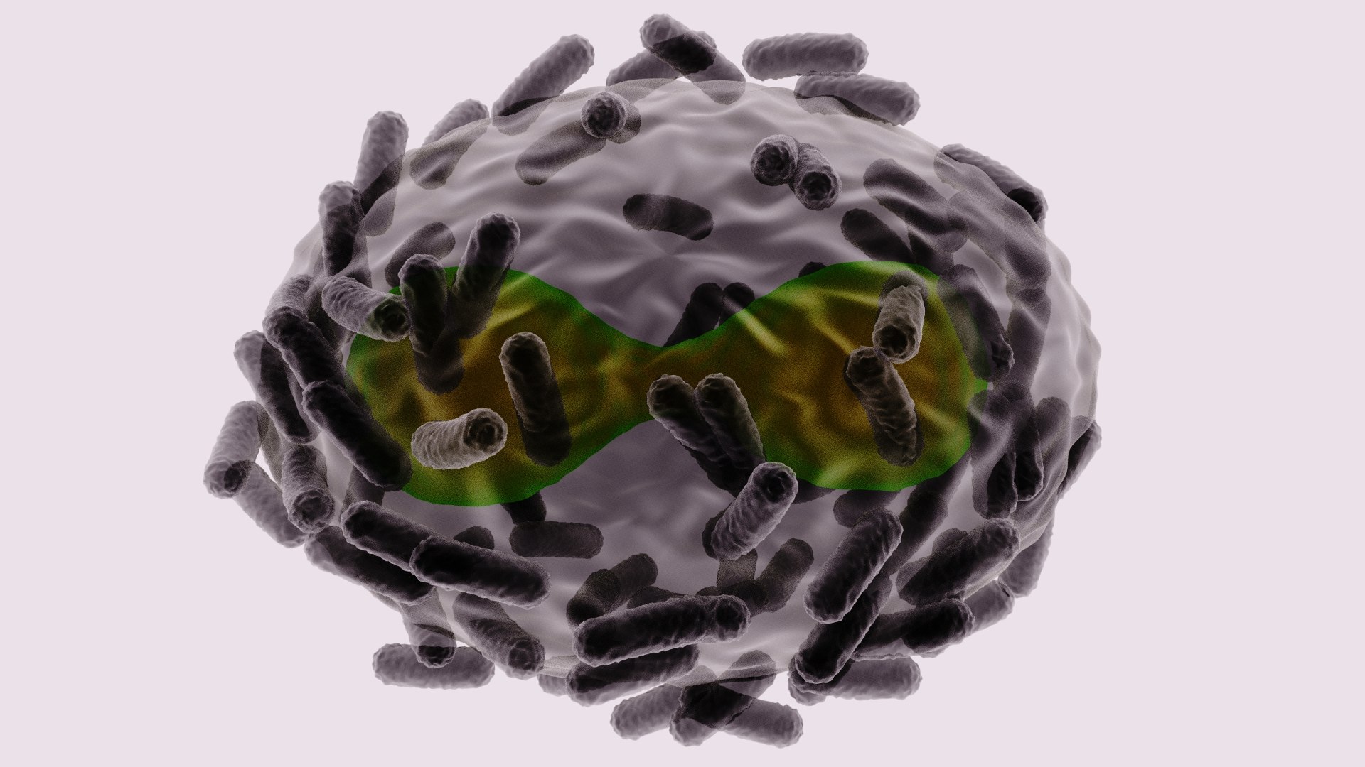 3D Monkeypox Virus smallpox model - TurboSquid 1900062