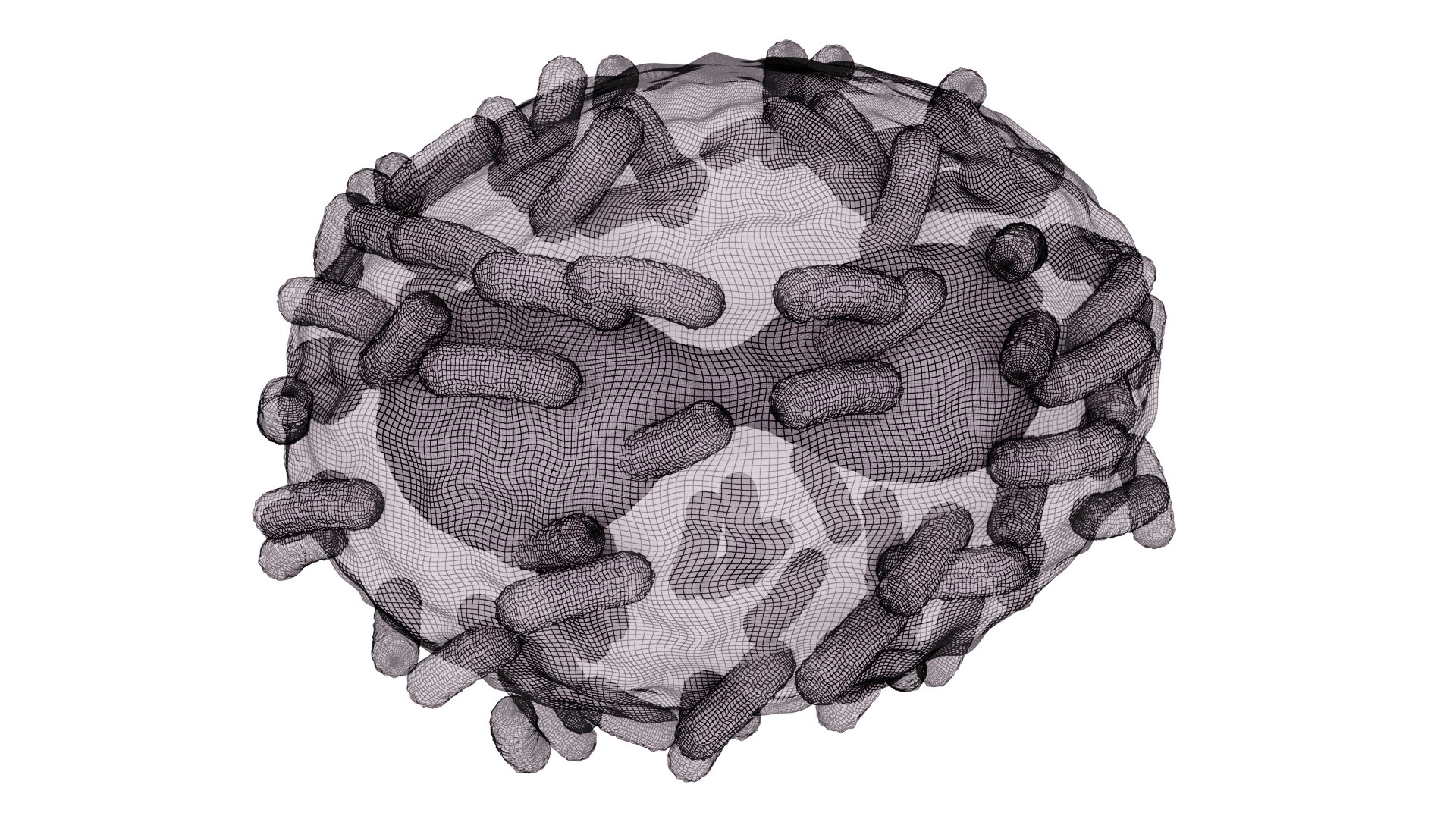 3D Monkeypox Virus smallpox model - TurboSquid 1900062