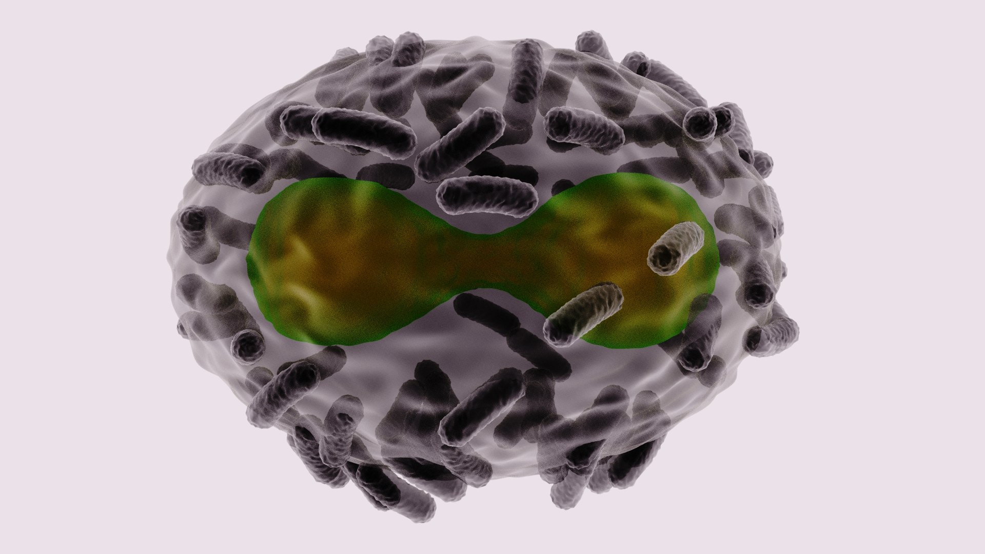 3D Monkeypox Virus smallpox model - TurboSquid 1900062