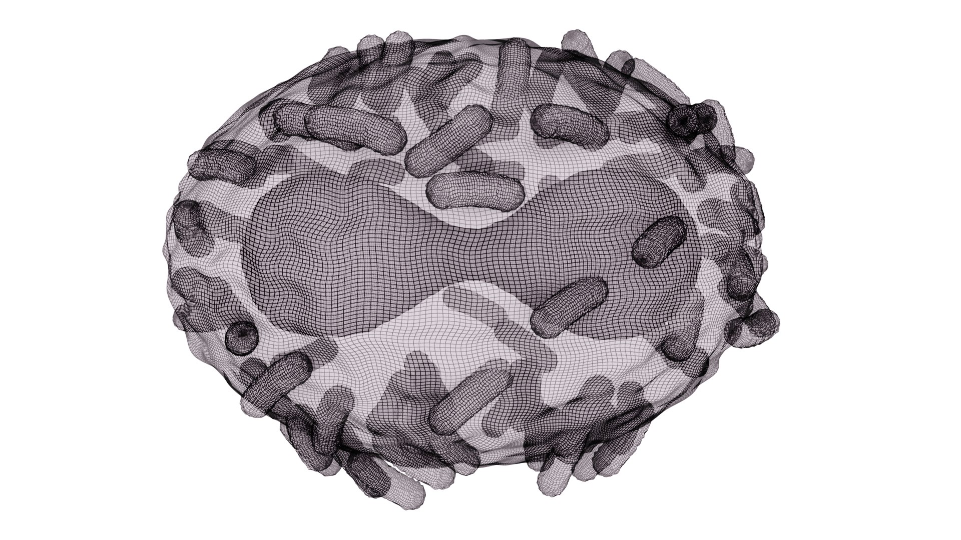 3D Monkeypox Virus smallpox model - TurboSquid 1900062