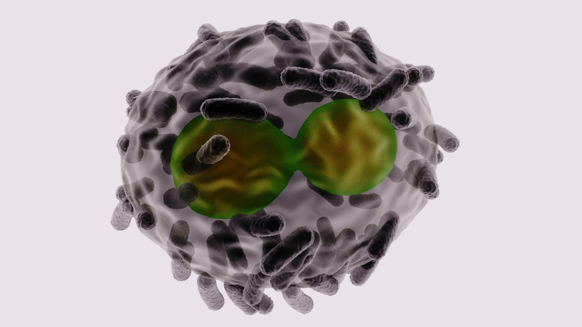 3D Monkeypox Virus smallpox model - TurboSquid 1900062