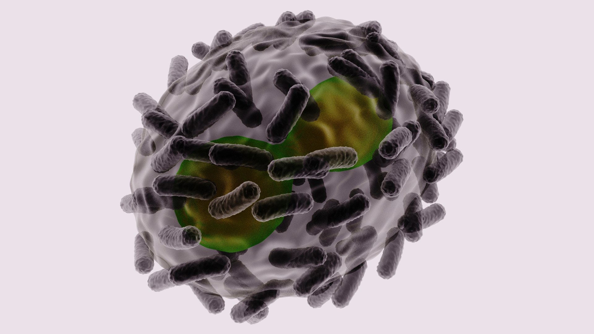 3D Monkeypox Virus smallpox model - TurboSquid 1900062