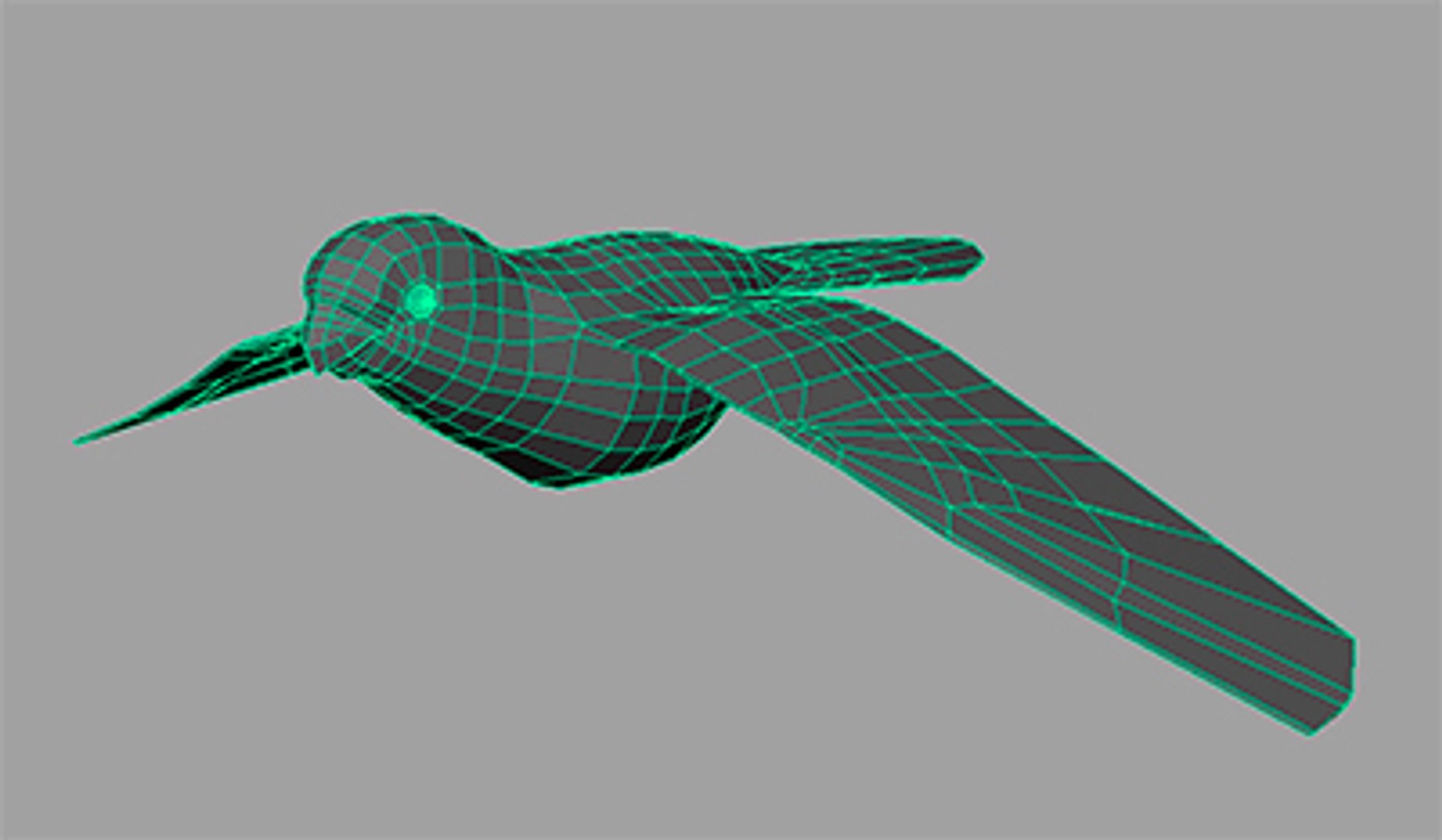 Sculpting Flying Parrot 3d Obj