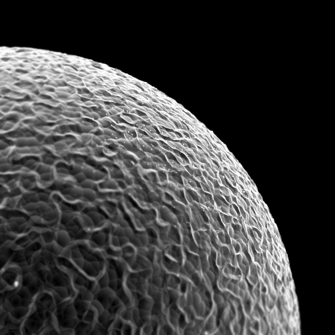 3D microbes bacteria cells model - TurboSquid 1626096