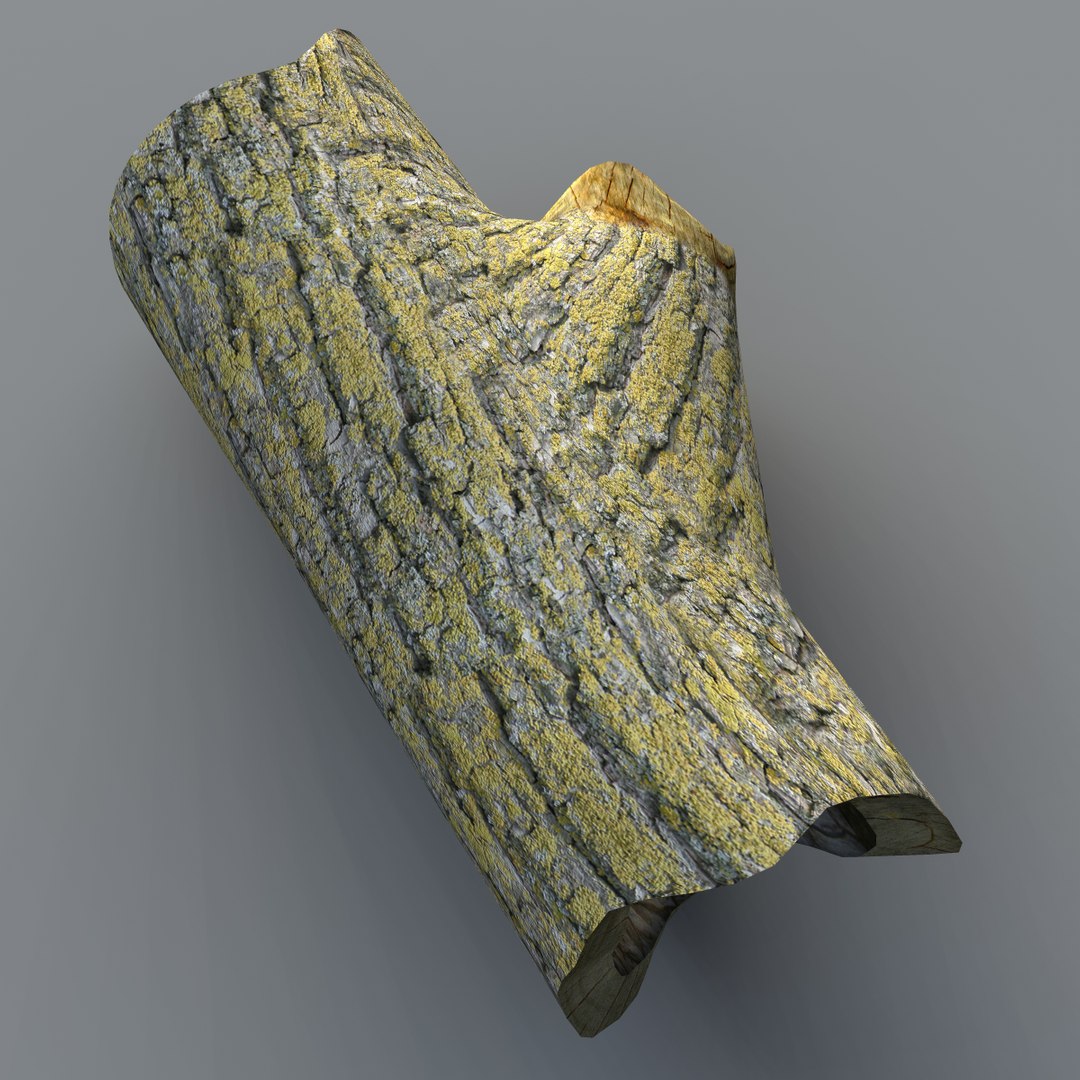 Medium Hollow Log 3d Max