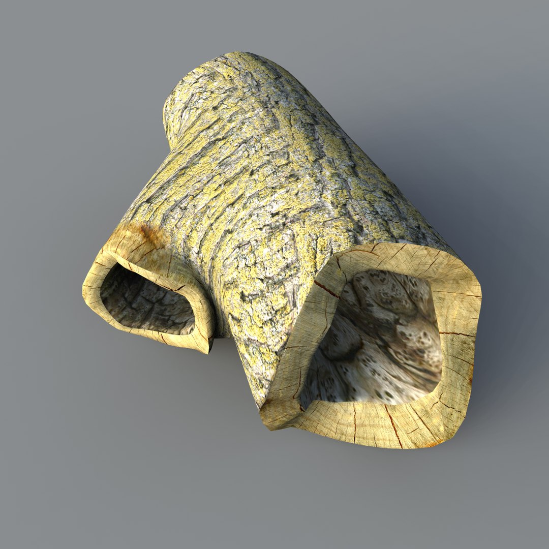 Medium Hollow Log 3d Max