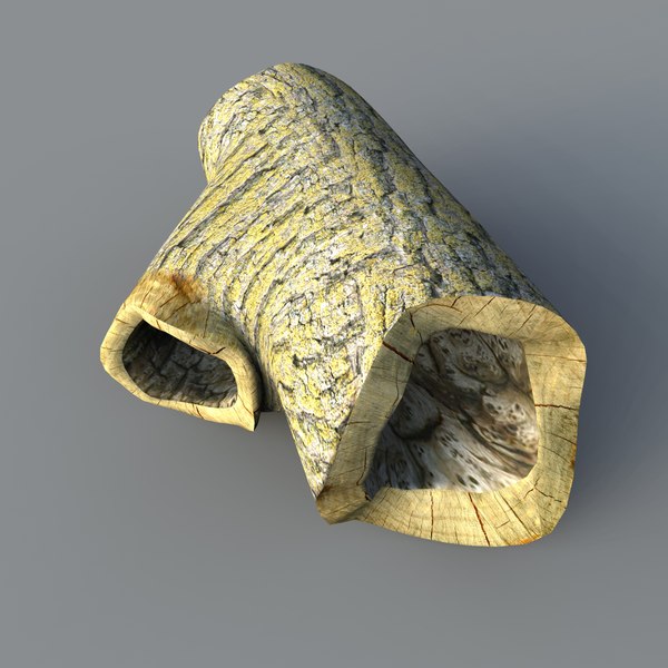 medium hollow log 3d max