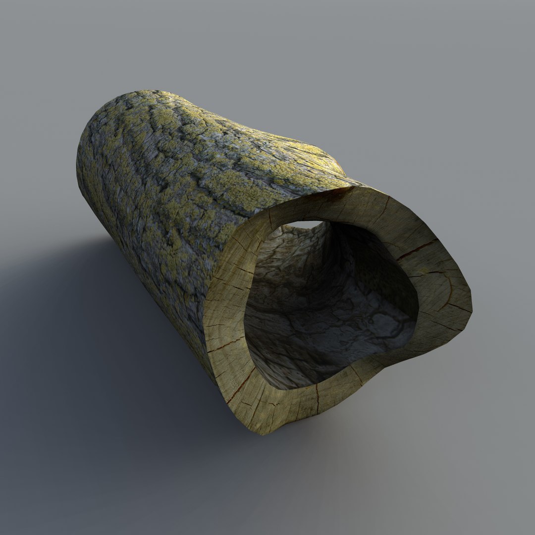 Medium Hollow Log 3d Max
