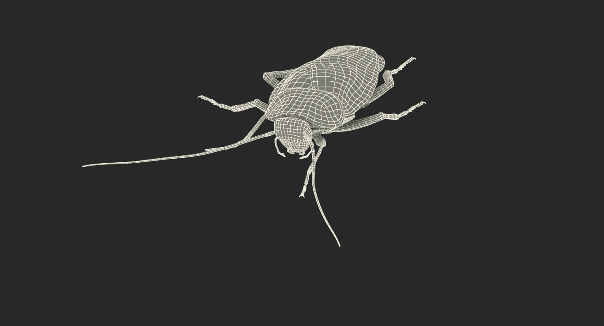 Cockroach Walking Pose 3D - TurboSquid 1195600
