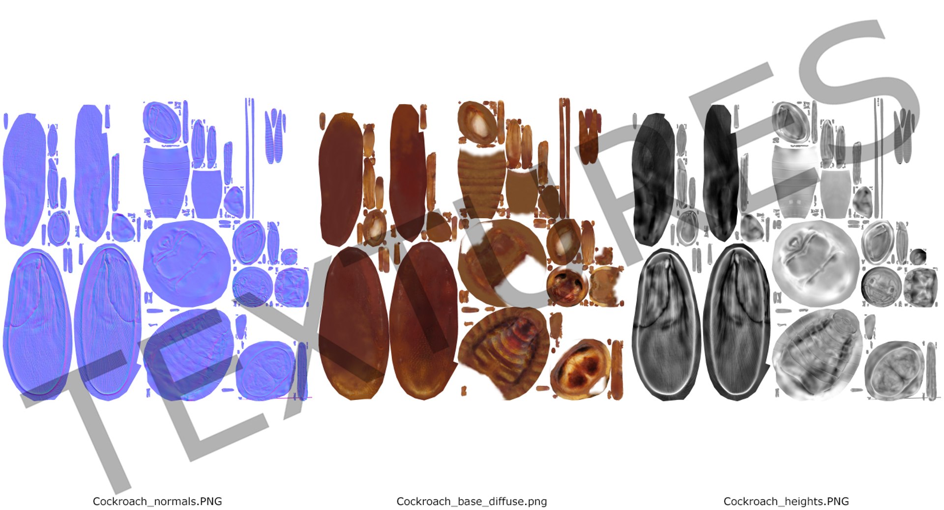 Cockroach Walking Pose 3D - TurboSquid 1195600