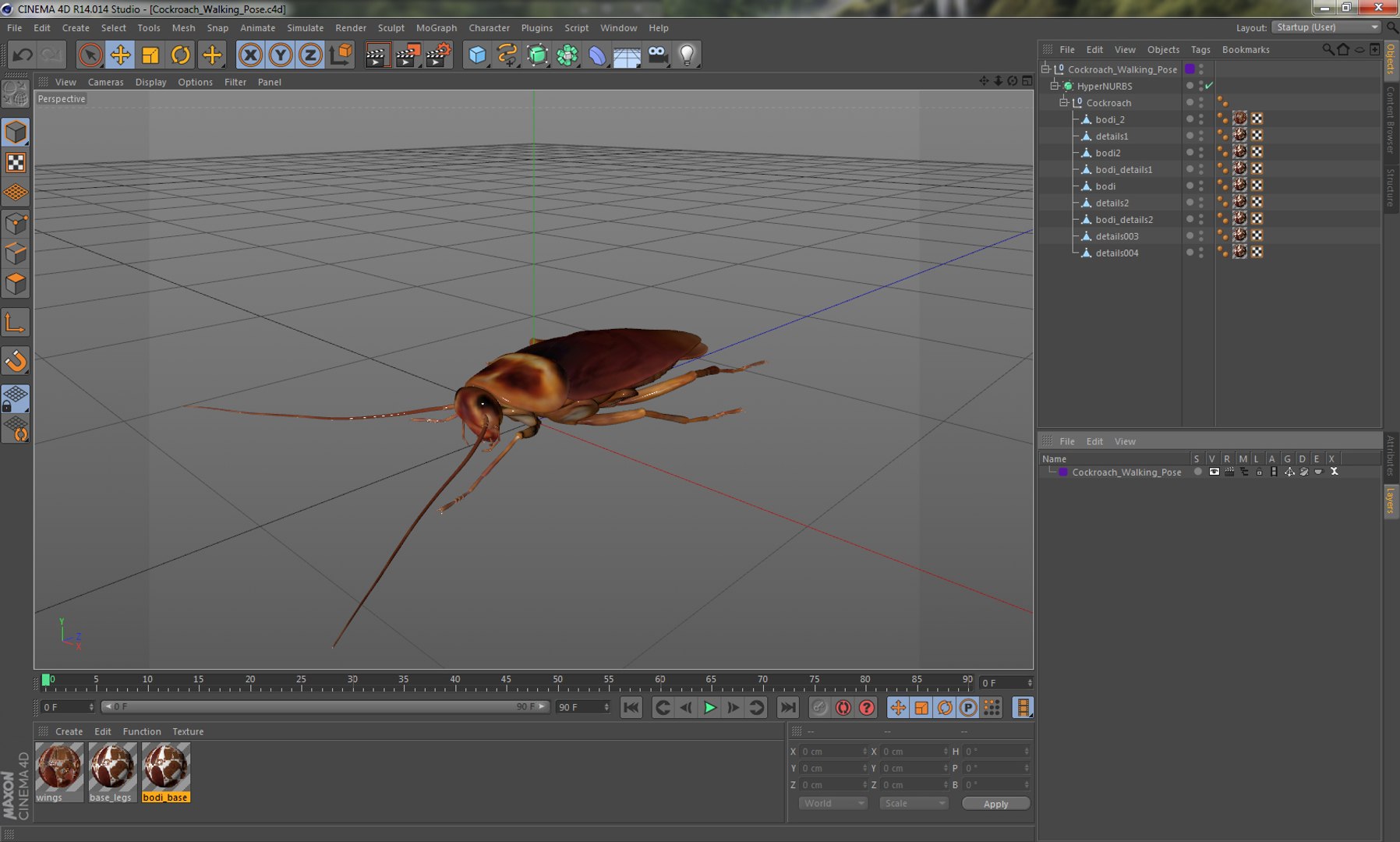 Cockroach Walking Pose 3D - TurboSquid 1195600