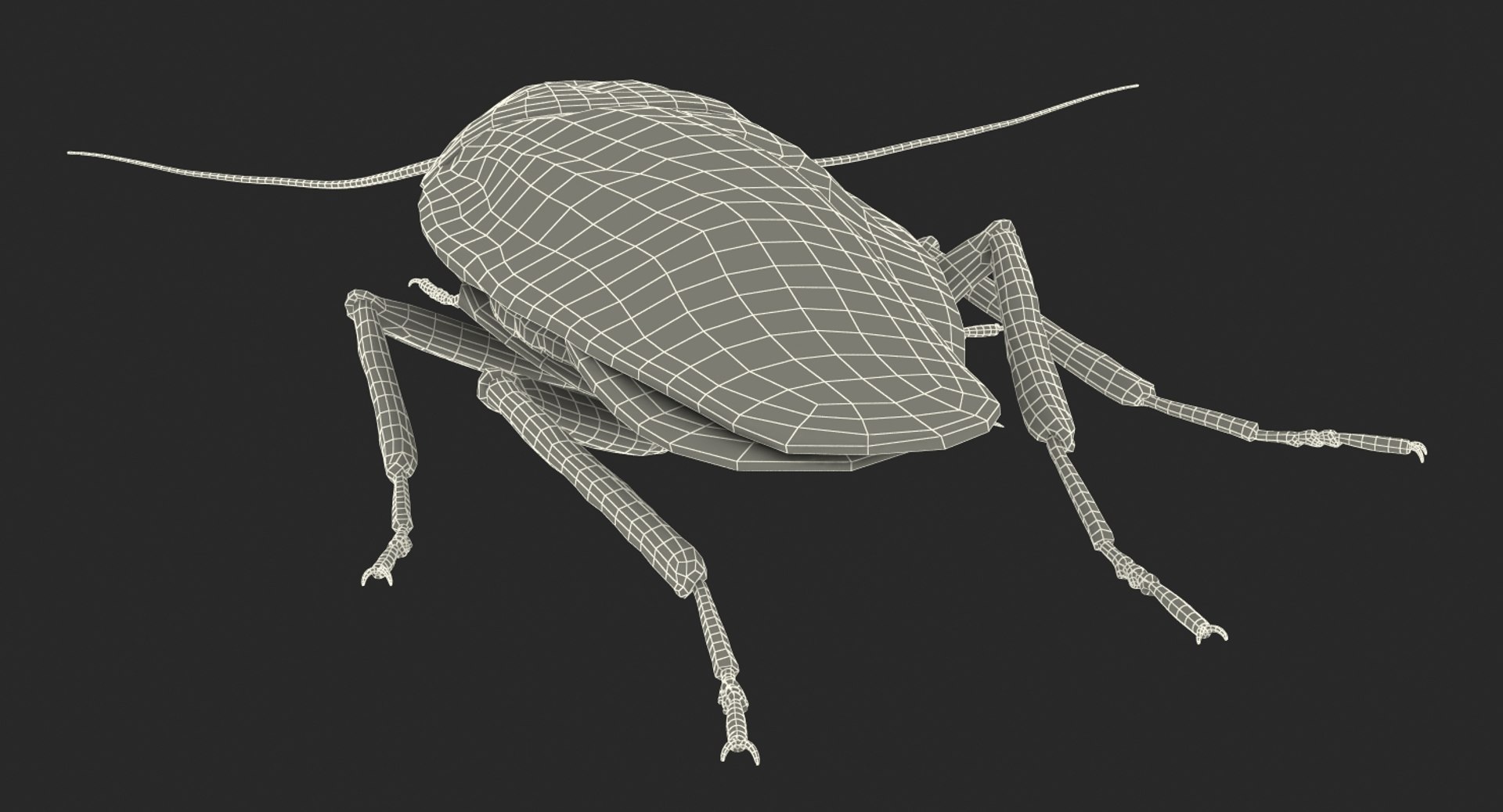 Cockroach Walking Pose 3D - TurboSquid 1195600
