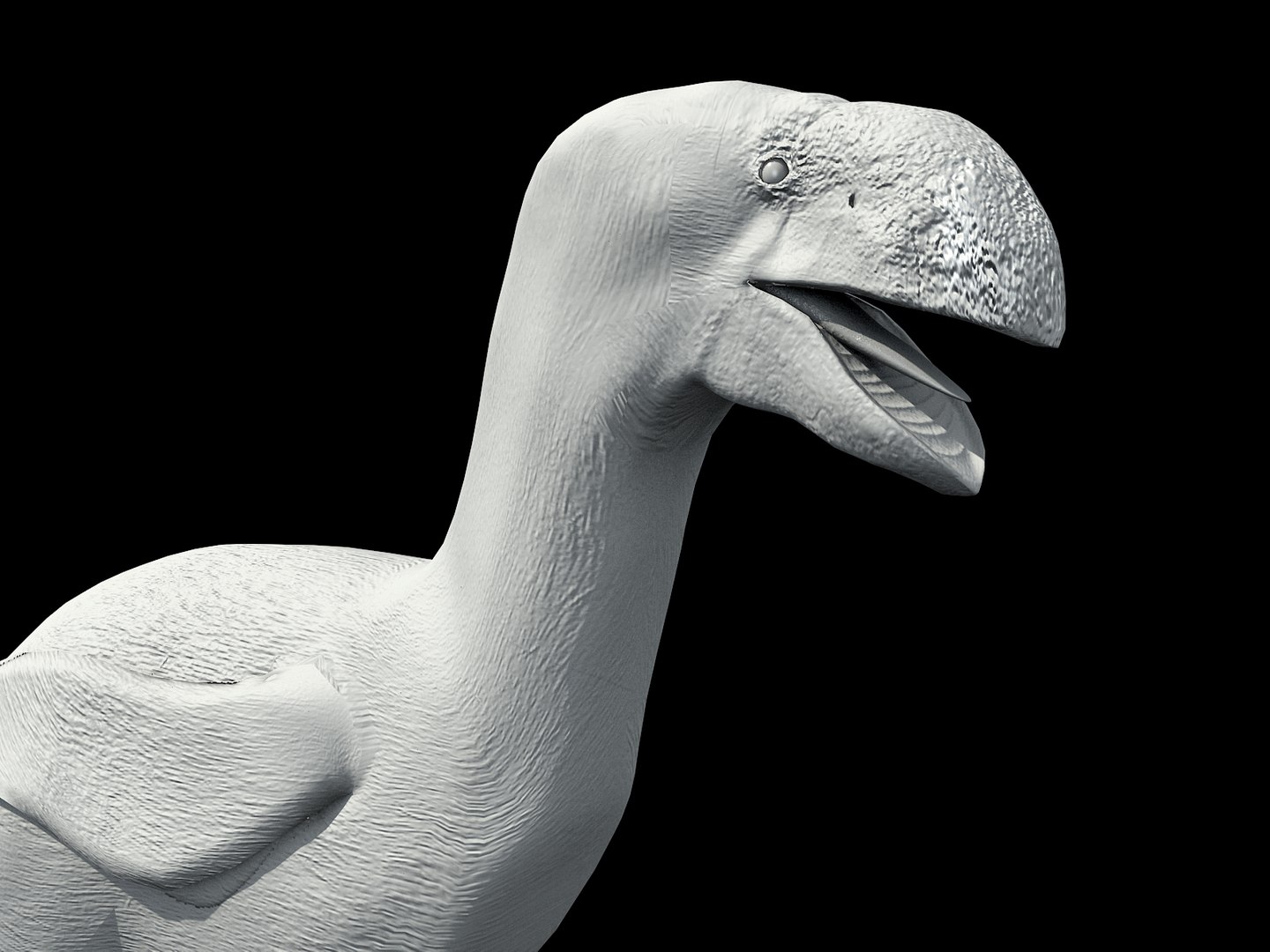 Animations Diatryma Max