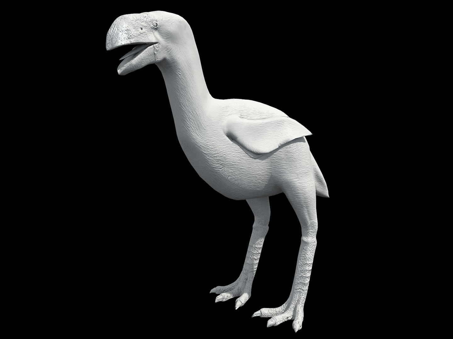 Animations Diatryma Max