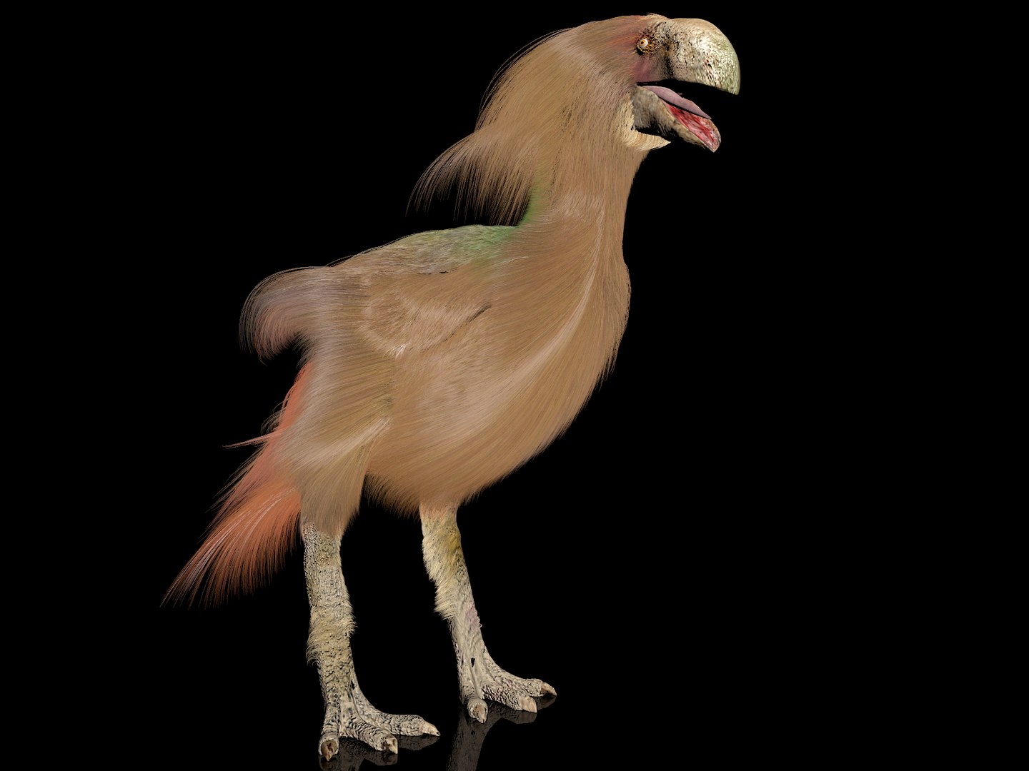 Animations Diatryma Max