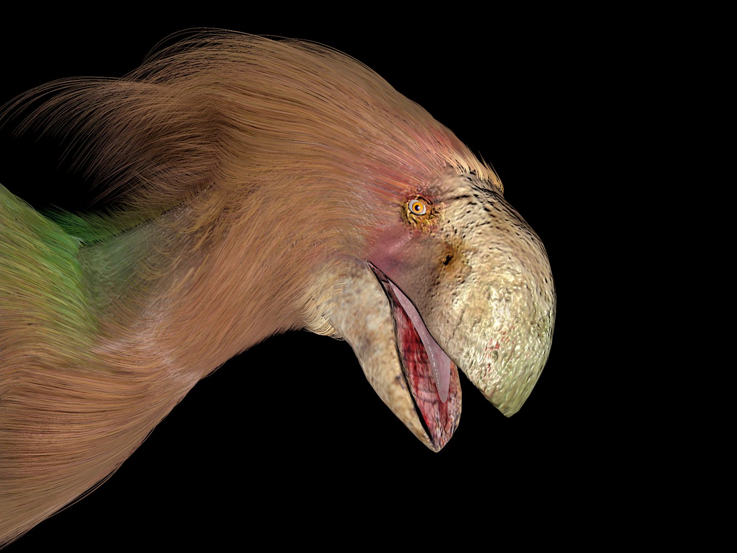 Animations Diatryma Max