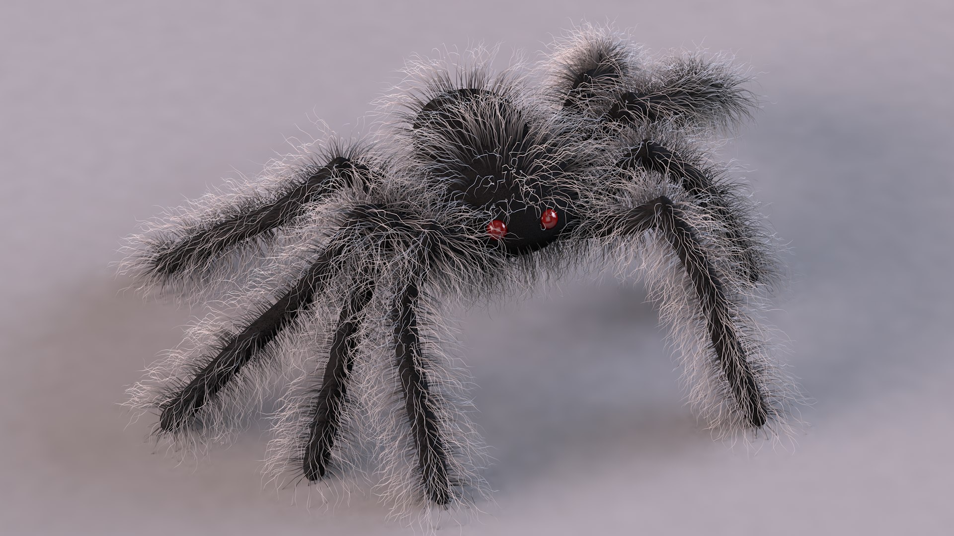 3D Model Fuzzy Halloween Spider - TurboSquid 1969004