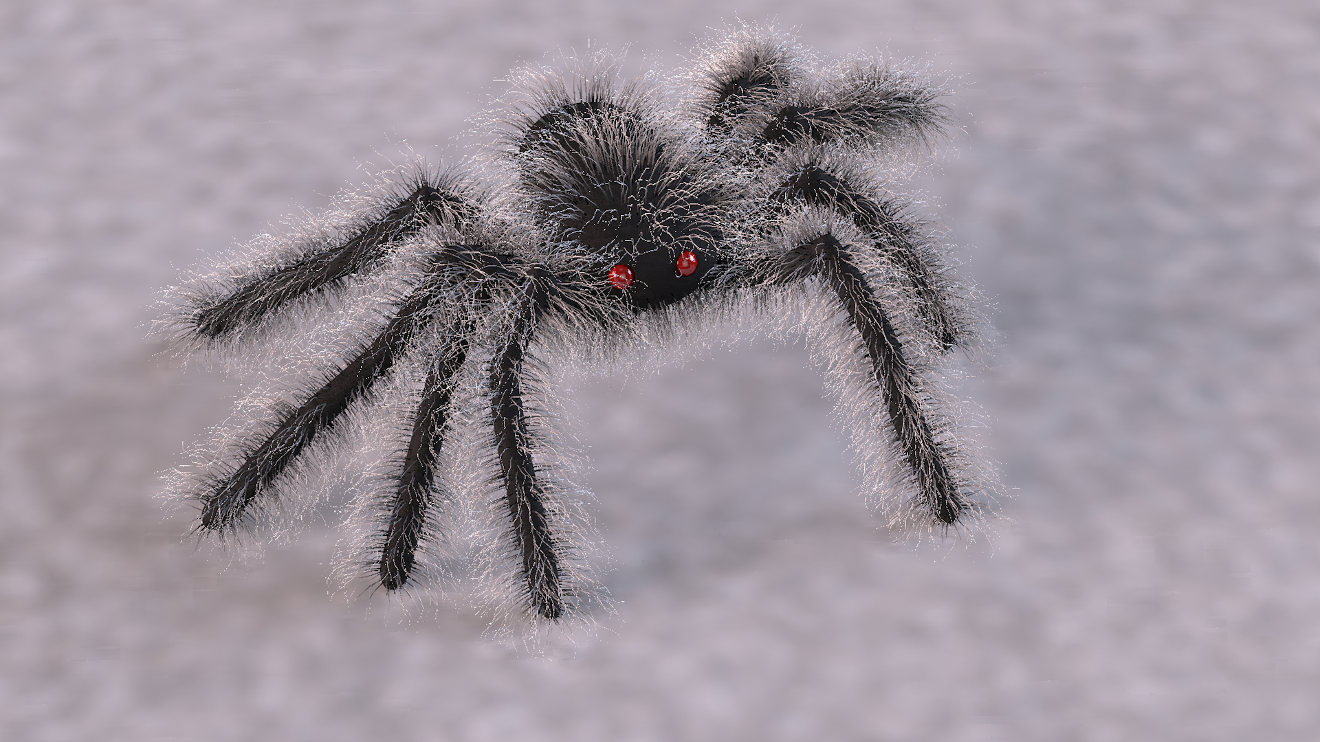 3D Model Fuzzy Halloween Spider - TurboSquid 1969004
