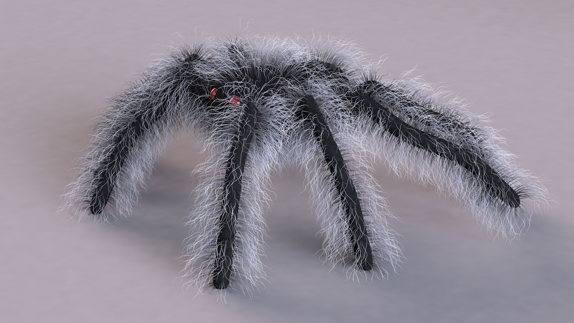3D Model Fuzzy Halloween Spider - TurboSquid 1969004