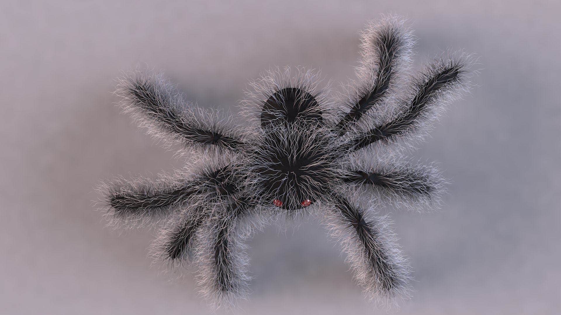 3D Model Fuzzy Halloween Spider - TurboSquid 1969004