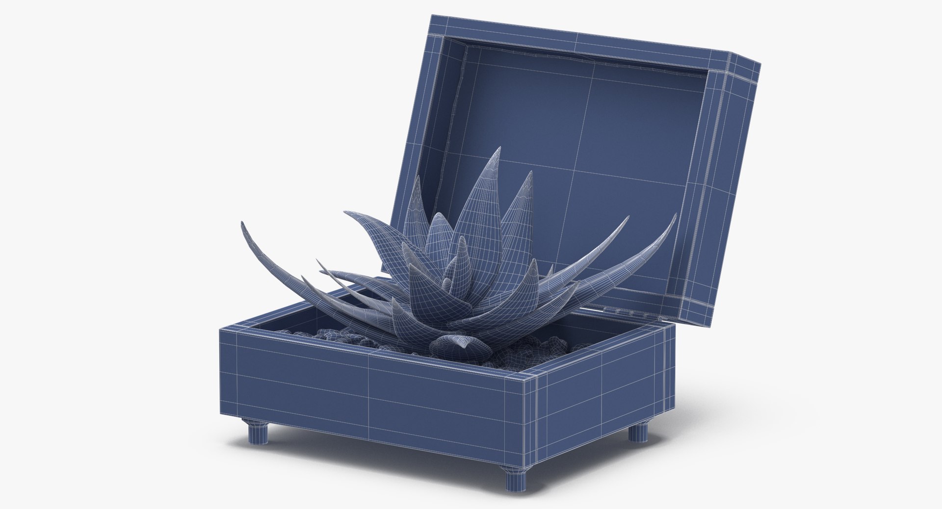 Aloe Box Plant 3D - TurboSquid 1295697