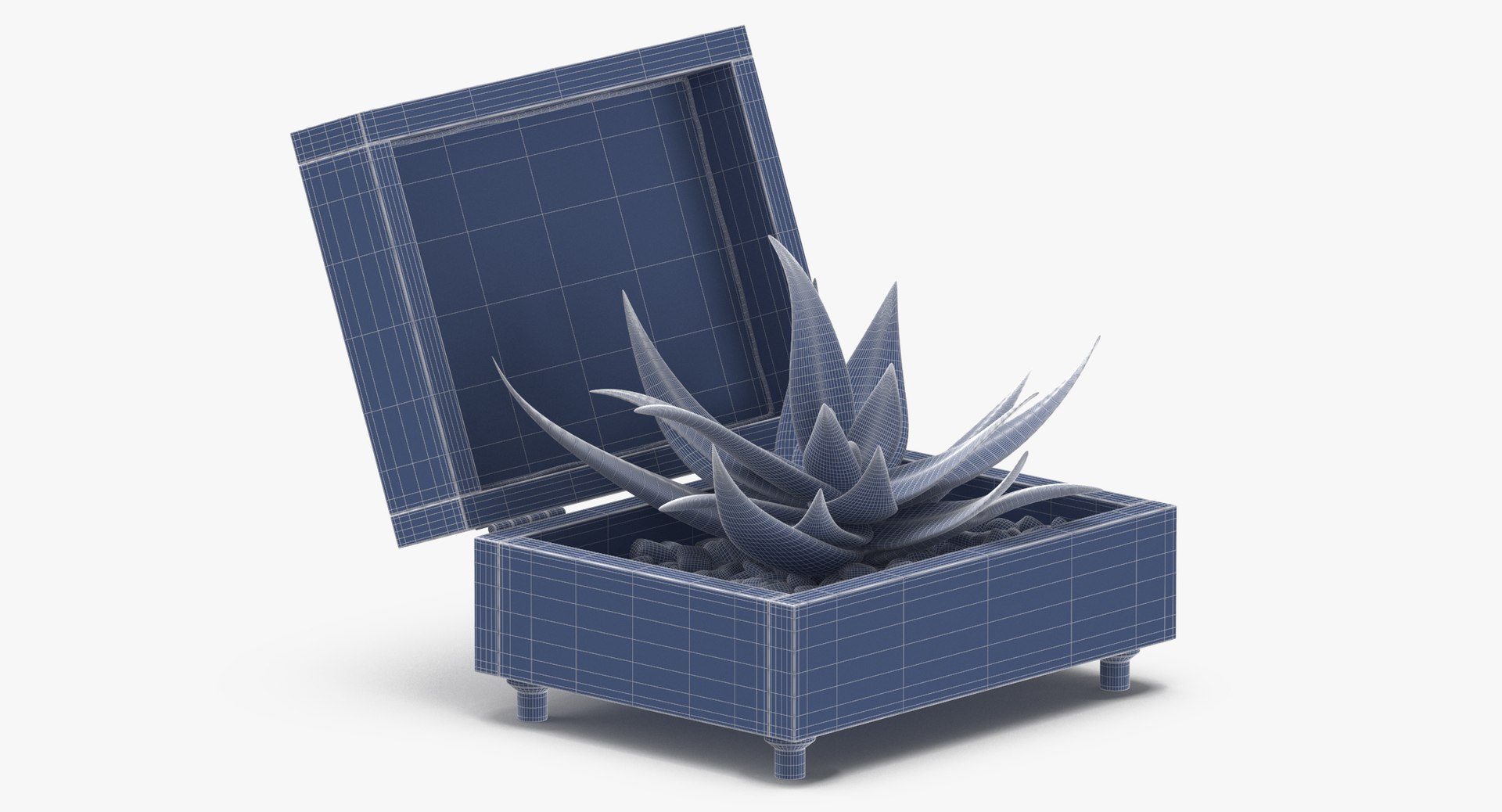Aloe Box Plant 3D - TurboSquid 1295697