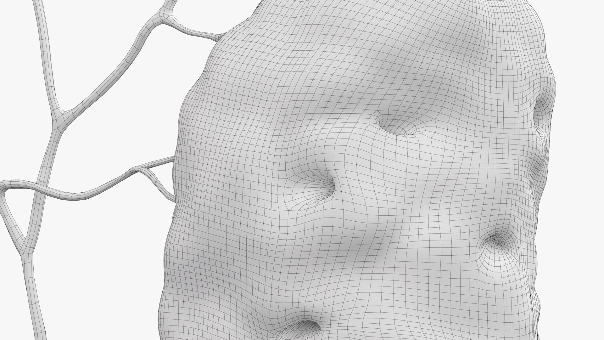 3D Palatine Tonsil - TurboSquid 1933972