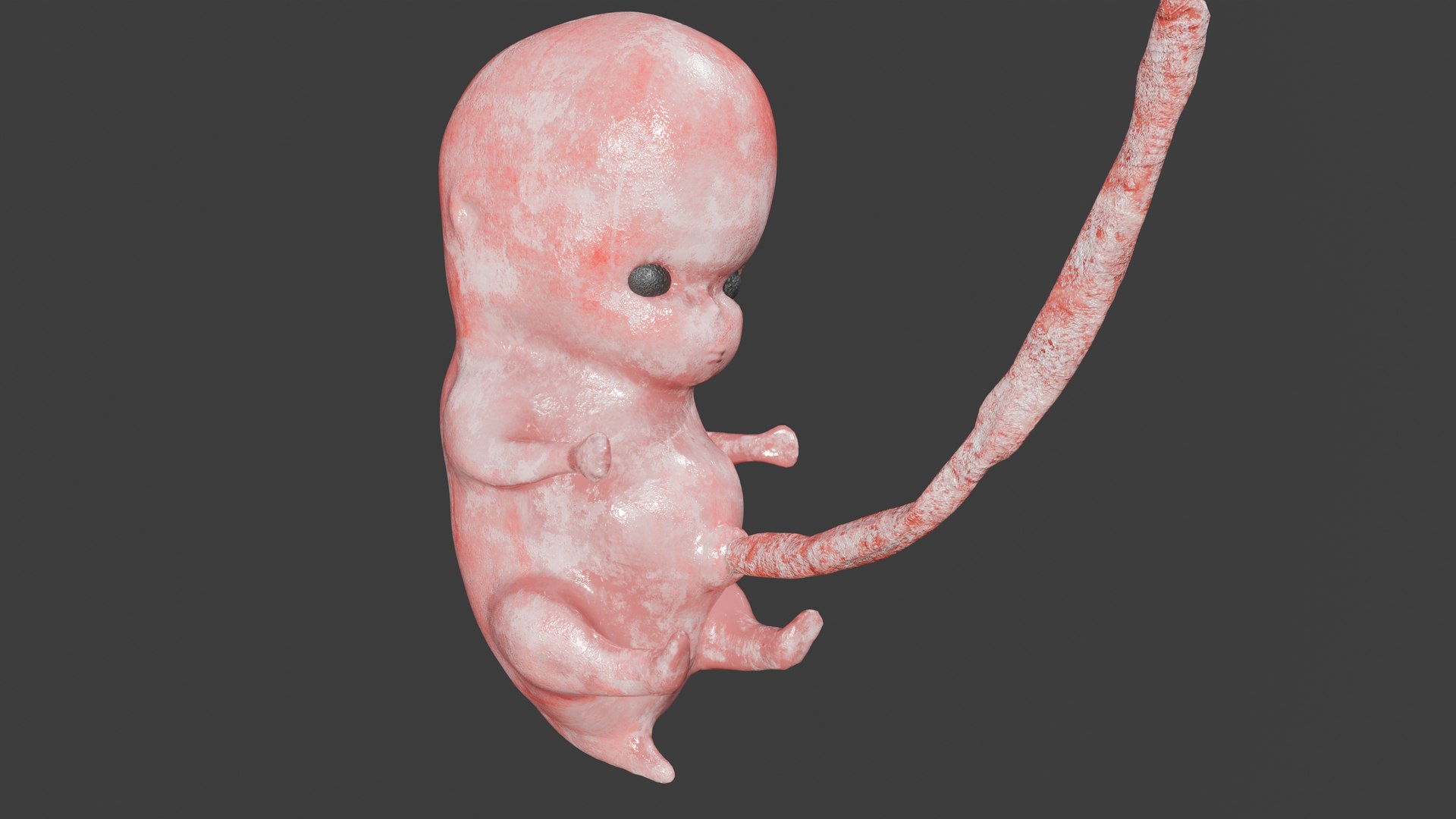 Free 3D Baby Fetus - TurboSquid 2331821