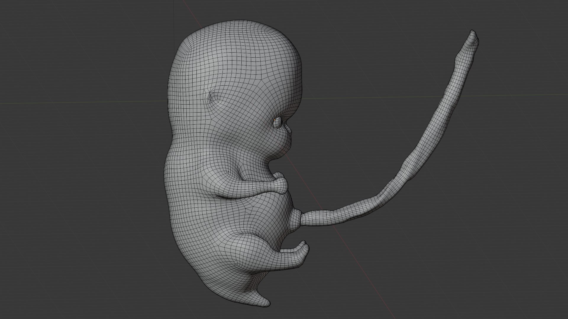 Free 3D Baby Fetus - TurboSquid 2331821