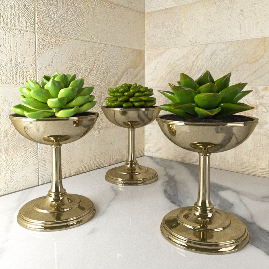 3d Succulent