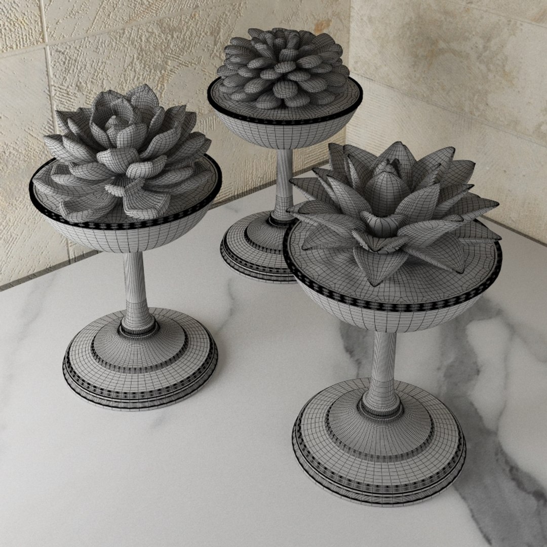 3d Succulent