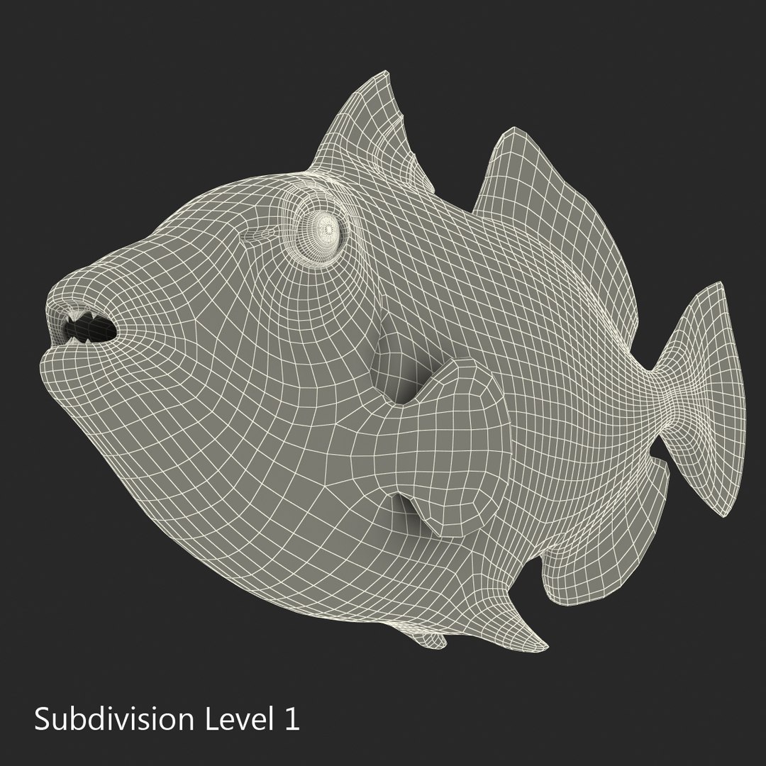 3d model clown trigger fish rigged
