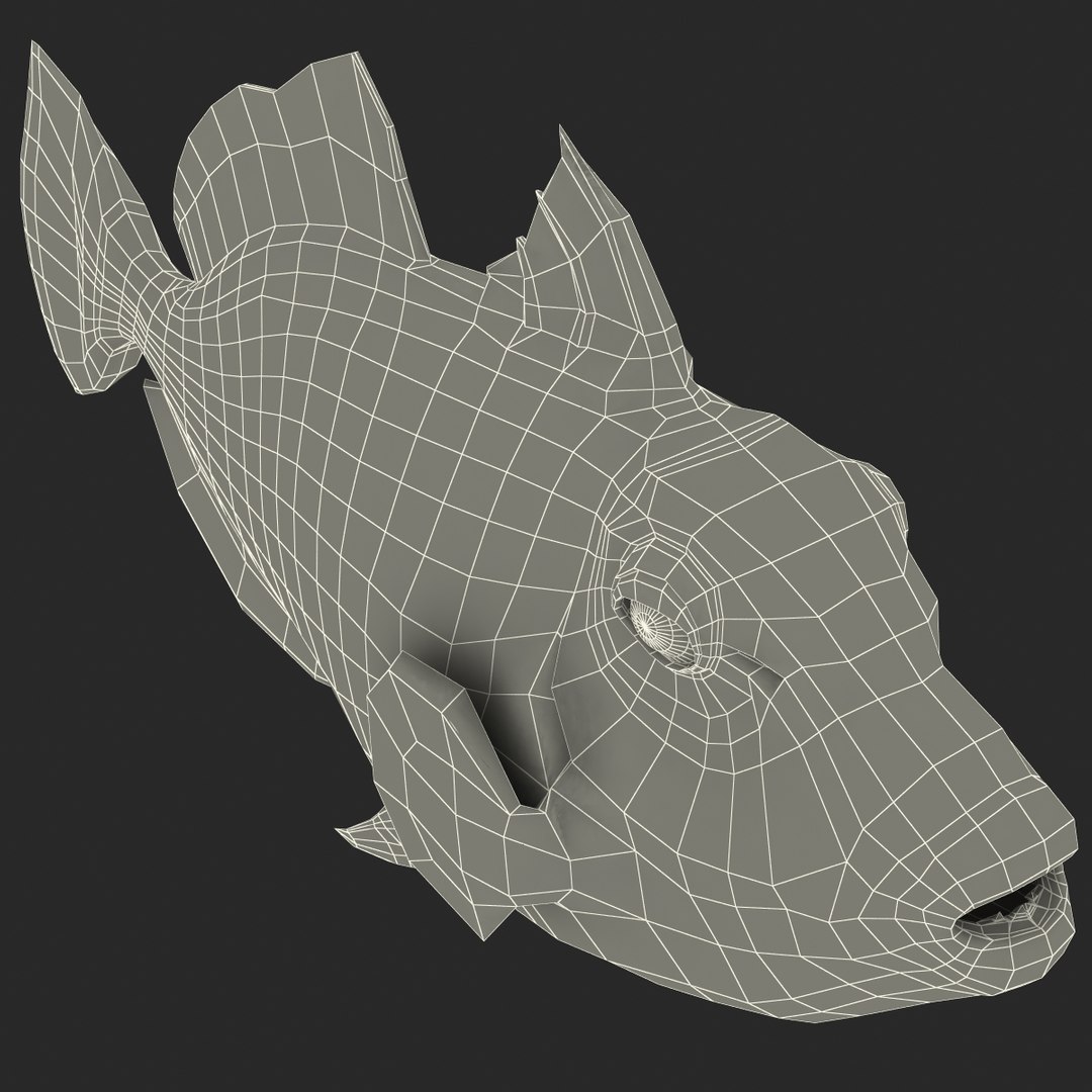 3d model clown trigger fish rigged