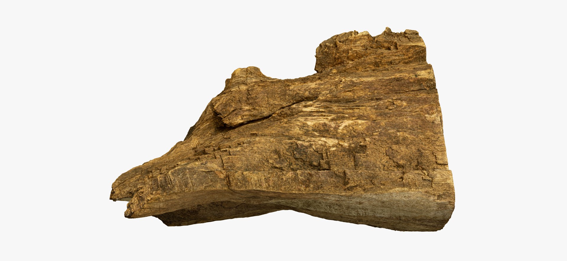 Broken Tree Trunk Piece 01 RAW Scan 3D Model - TurboSquid 2143339