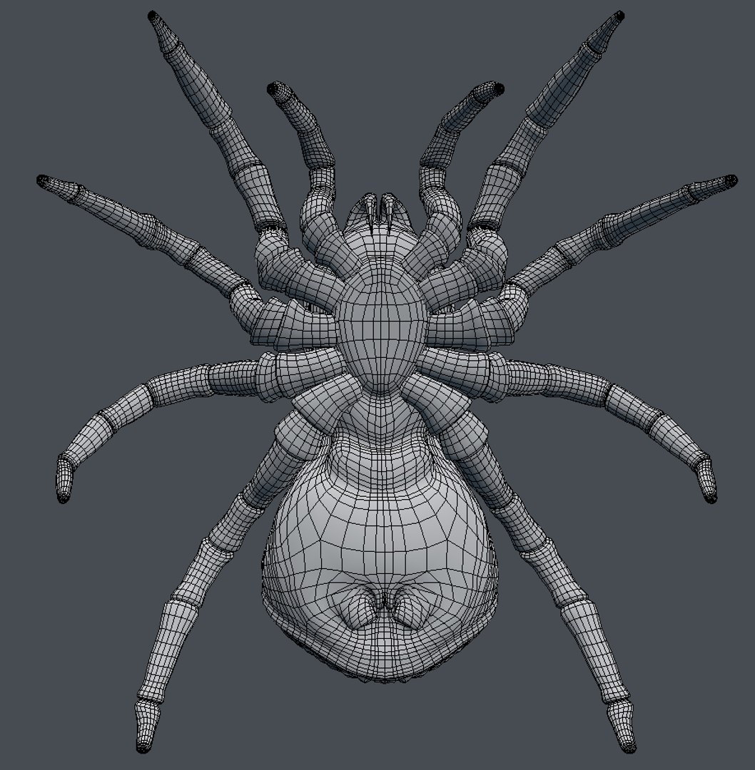 Hourglass Spider 3D Model - TurboSquid 1313805