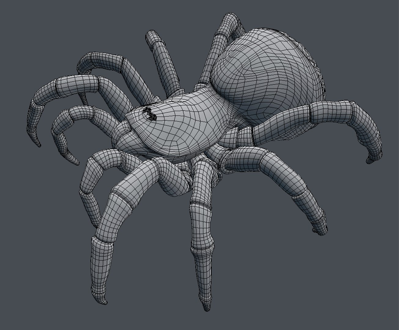Hourglass Spider 3D Model - TurboSquid 1313805
