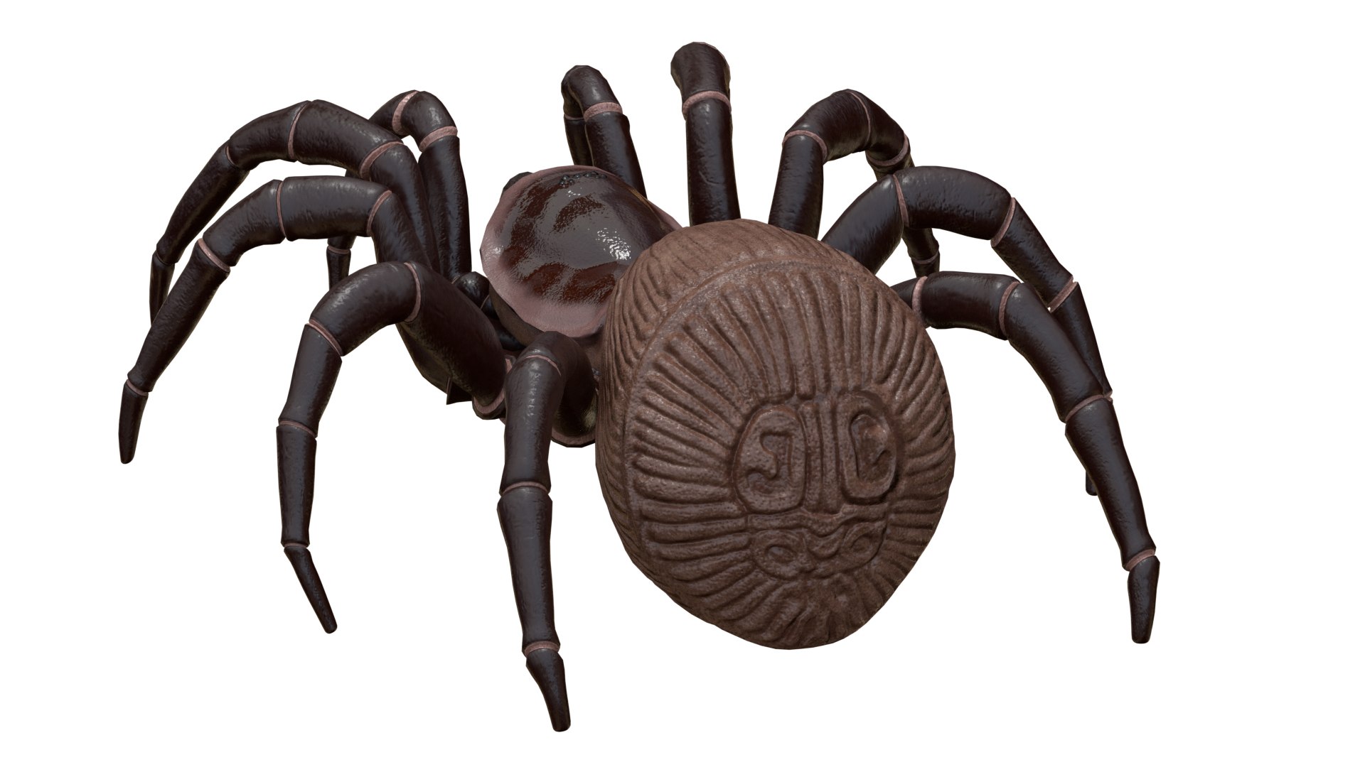 Hourglass Spider 3D Model - TurboSquid 1313805