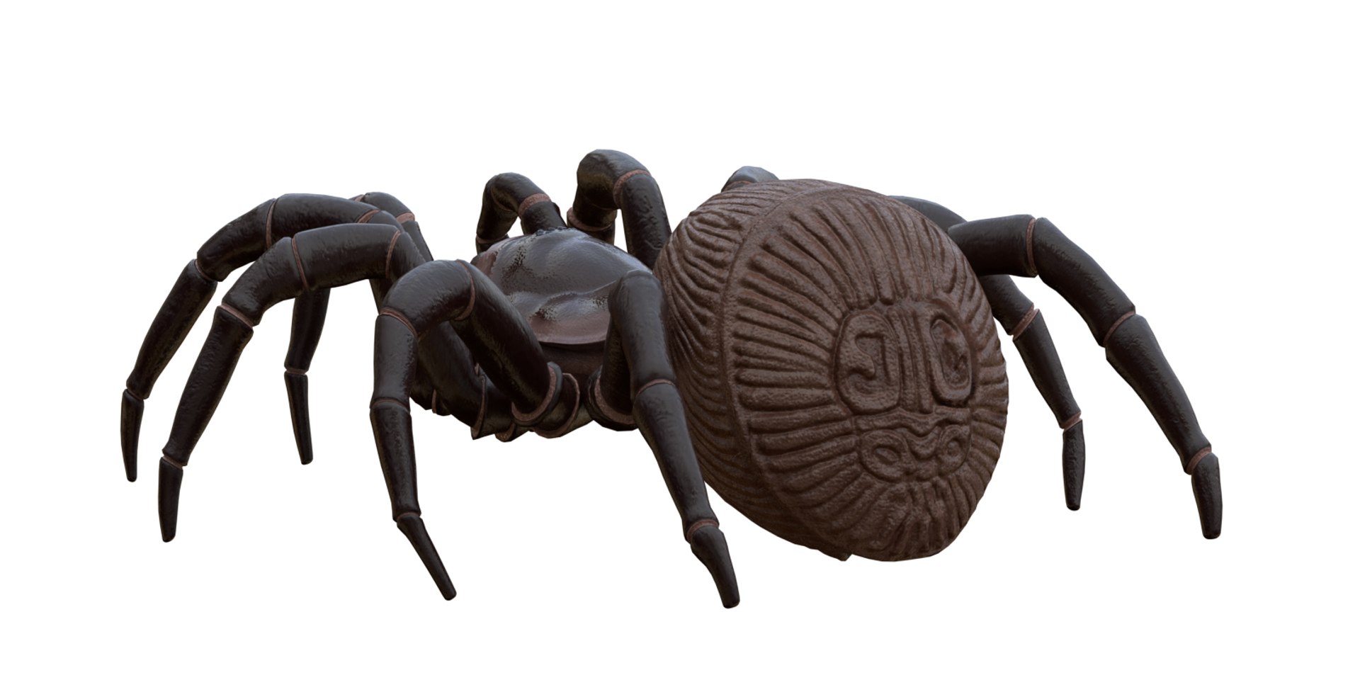 Hourglass Spider 3D Model - TurboSquid 1313805