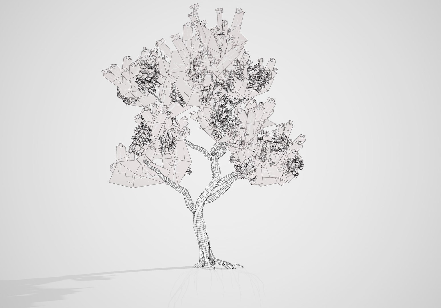 3D Model Hawaiian Ohia Lehua Tree 3D Model - TurboSquid 2155157