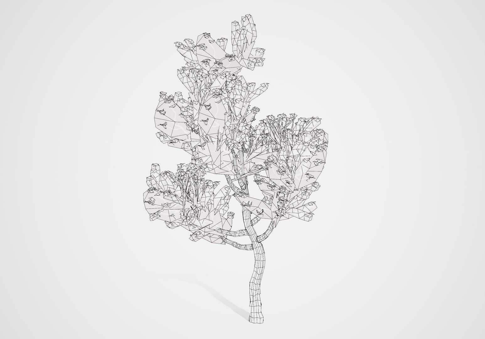 3D Model Hawaiian Ohia Lehua Tree 3D Model - TurboSquid 2155157