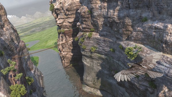 Animated eagle flying over the valley 3D model - TurboSquid 2023600