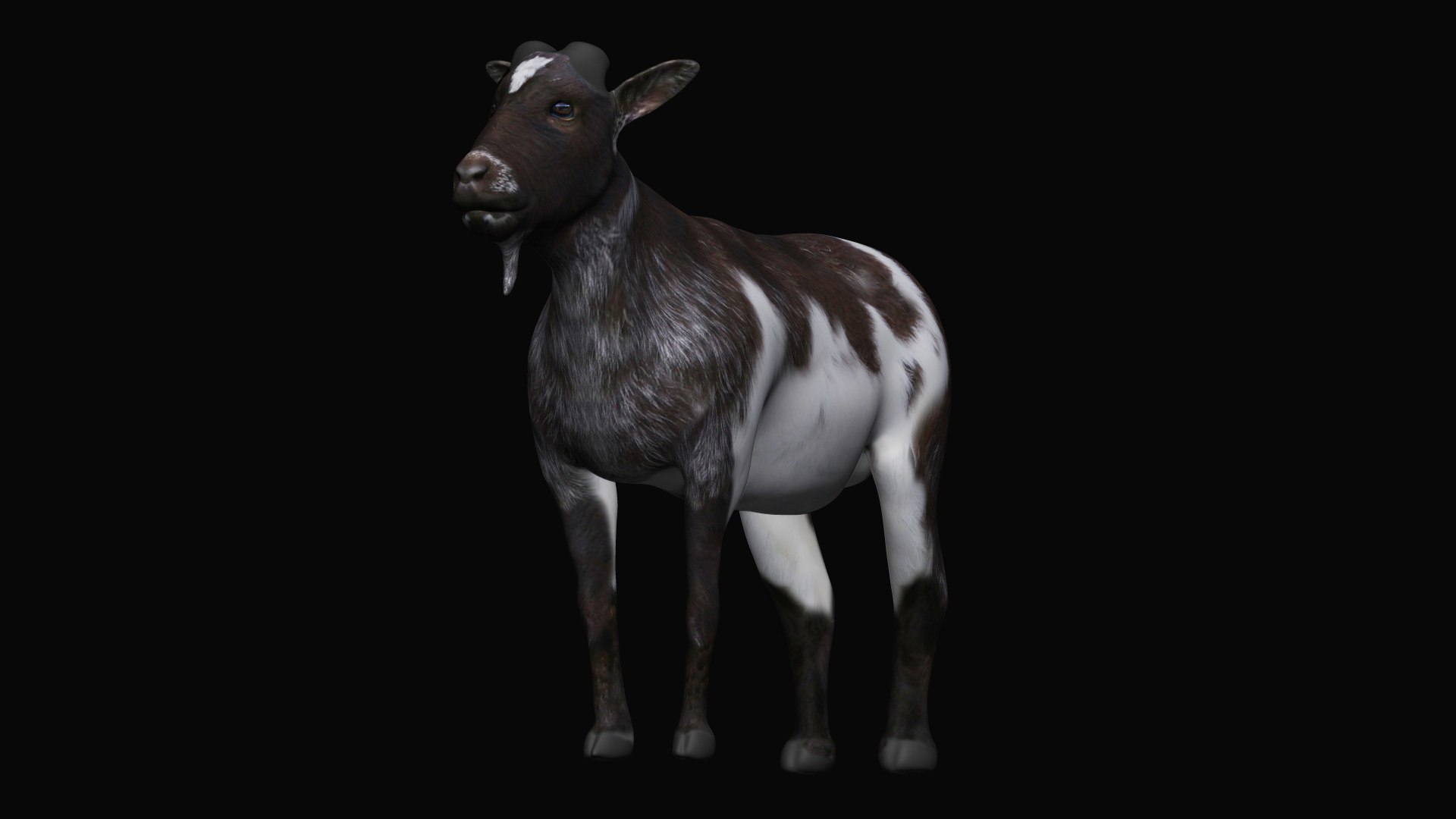 3D Fully Rigged Goat - TurboSquid 1694843