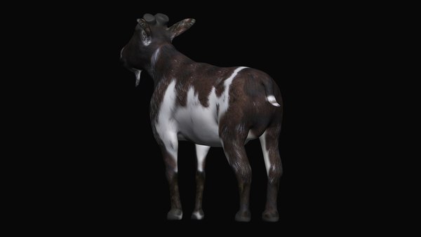 3D fully rigged goat - TurboSquid 1694843