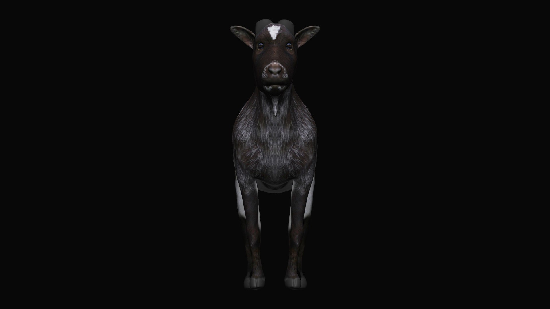 3D Fully Rigged Goat - TurboSquid 1694843