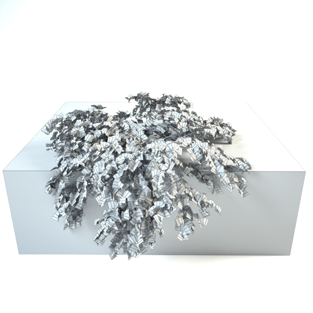 3D Model Lace Shrub Stephanandra Incisa - TurboSquid 1459065