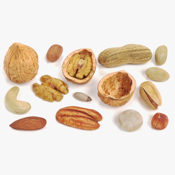3d walnut nut model