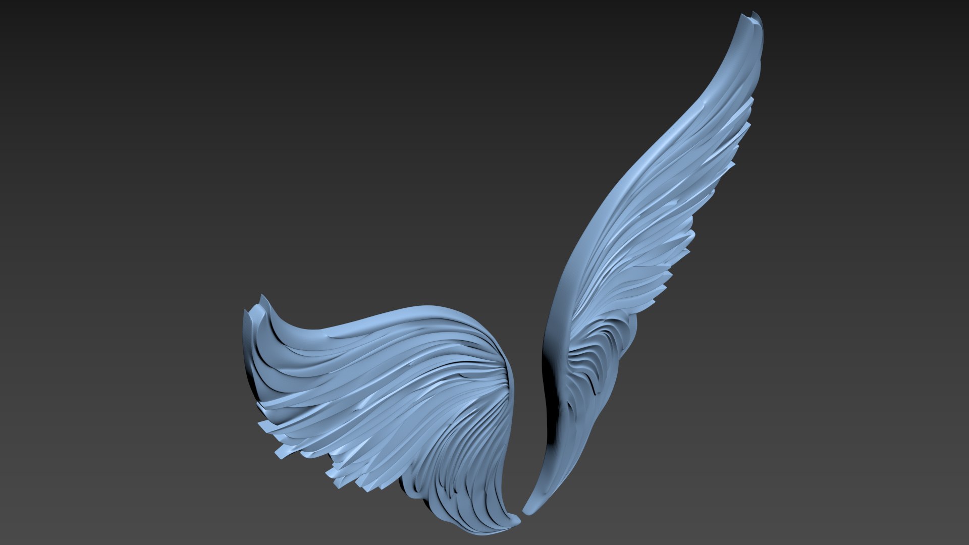 3D Wings Model - TurboSquid 2210142